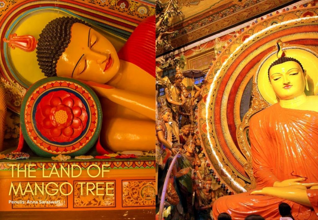 The Land of Mango Tree